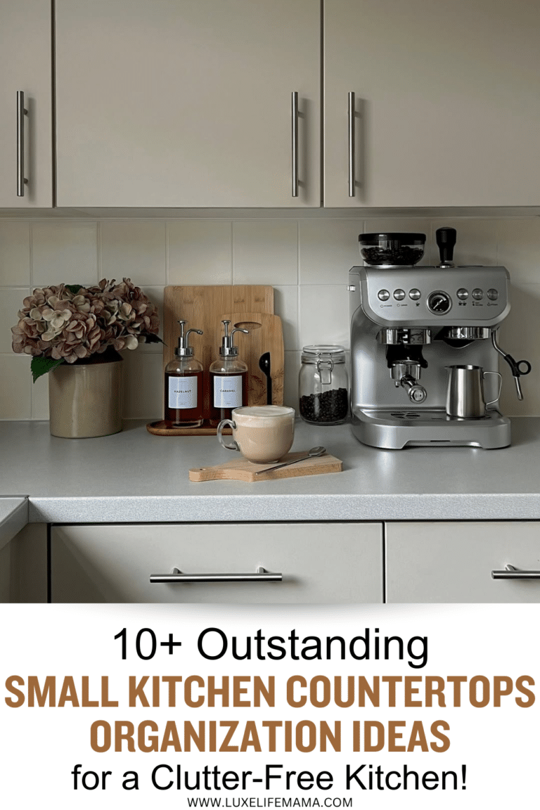 10+ Outstanding Small Kitchen Countertop Organization Ideas for a ...