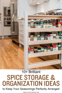 10+ Brilliant Spice Storage & Organization Ideas to Keep Your ...